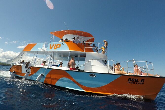 VIP Fascinating Boat Ride & Snorkeling at Sosua Bay - What Do Travelers Love Most?