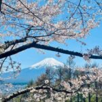 VIP Mt. Fuji & Hakone with Beautiful Lakes Customised Tour - Practical Tips for Your Tour