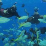 VIP Party Boat & Snorkeling - Who Will Love This Tour?