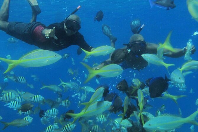 VIP Party Boat & Snorkeling - Who Will Love This Tour?
