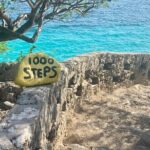 VIP Private North Island Tour - Who Is This Tour Best For?