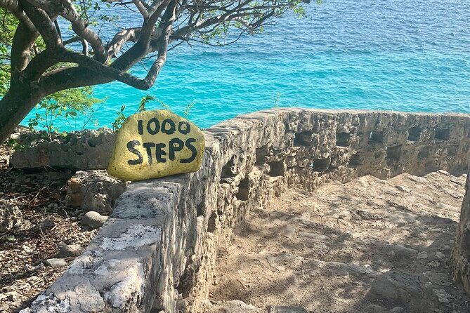 VIP Private North Island Tour - Who Is This Tour Best For?