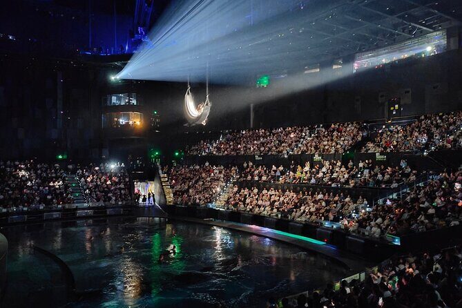 VIP Seat for Han Show Theatre - The Itinerary Breakdown