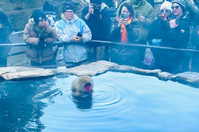 VIP Snow Monkeys Park Customized Private One Day Tour - How the Tour Works