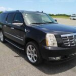 VIP Uvero Alto Private Transfer Suburban from Punta Cana - Who Should Consider This Transfer?