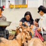 Visit Animal Sanctuary in Kathmandu - Detailed Itinerary Breakdown