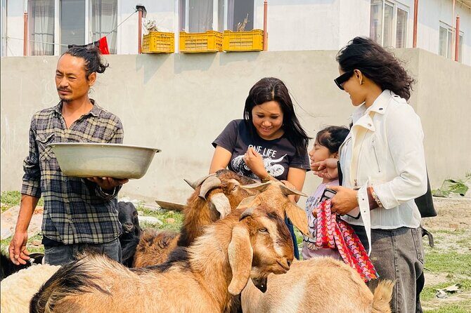 Visit Animal Sanctuary in Kathmandu - Detailed Itinerary Breakdown
