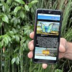 Visit Fort-DE-France with a fun and original track game! - What Does the Tour Entail?