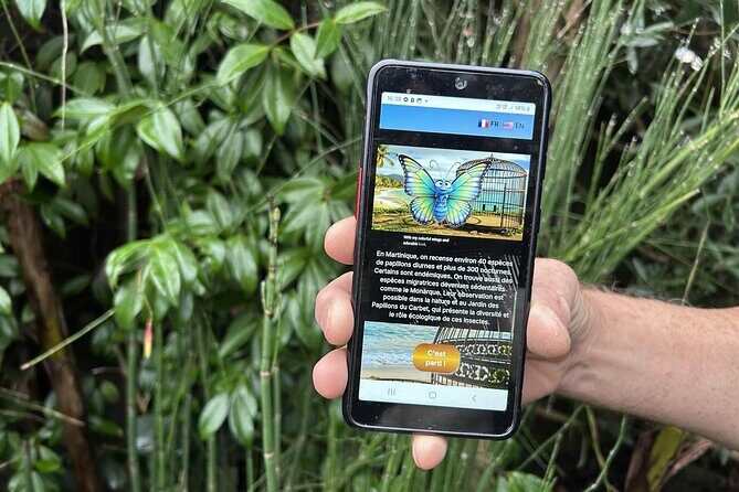 Visit Fort-DE-France with a fun and original track game! - What Does the Tour Entail?