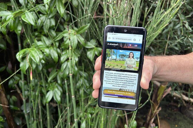 Visit Pointe-à-Pitre with a fun and fun track game! - What Makes It Special