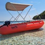 Visit the Cousteau Reserve By Boat Without a License - The Snorkeling and Marine Experience