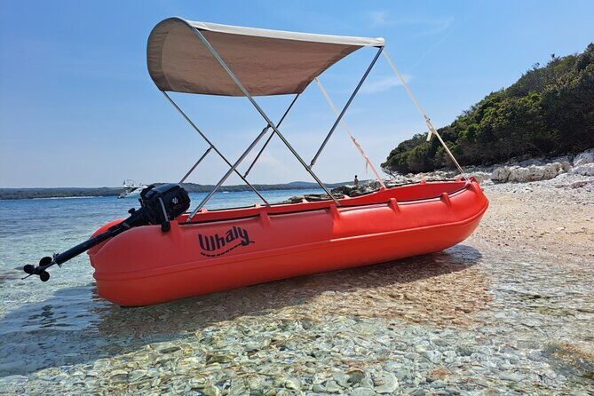 Visit the Cousteau Reserve By Boat Without a License - The Snorkeling and Marine Experience