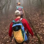 Visit Tsushima exclusive Private English /Español Tour - FAQ