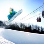Vivaldi Park Winter Ski Resort with Nami Island Tour from Seoul - Transportation and Group Size