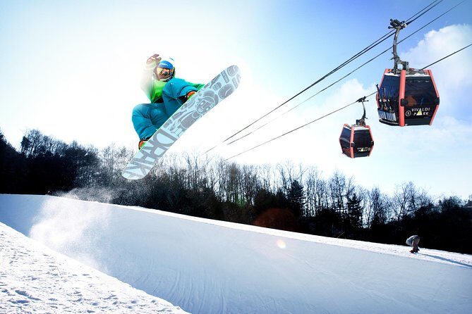 Vivaldi Park Winter Ski Resort with Nami Island Tour from Seoul - Transportation and Group Size