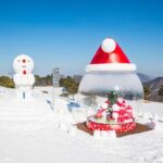 Vivaldi Park Winter Ski with Eobi Ice Valley Day Tour from Seoul - The Reviews Speak Volumes
