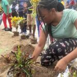 Volunteer at Schools During Vacation in St Lucia - What to Know Before You Book