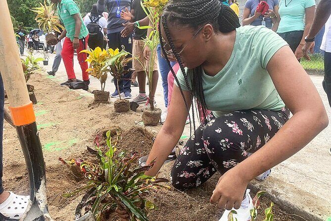 Volunteer at Schools During Vacation in St Lucia - What to Know Before You Book