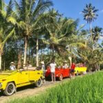 VW Safari,Bayan Ancient Tree,Jatiluwih,Wanagiri,Banyumala Twin Waterfalls - Why This Tour Offers Great Value