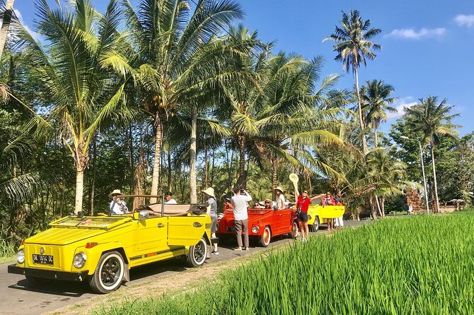 VW Safari,Bayan Ancient Tree,Jatiluwih,Wanagiri,Banyumala Twin Waterfalls - Why This Tour Offers Great Value