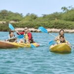 Wai Kai Ultimate - Who Will Love Wai Kai Ultimate?