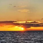 Waikiki Beach Sunset Sail and Swim on a Sailing Catamaran - What Makes This Tour Stand Out?
