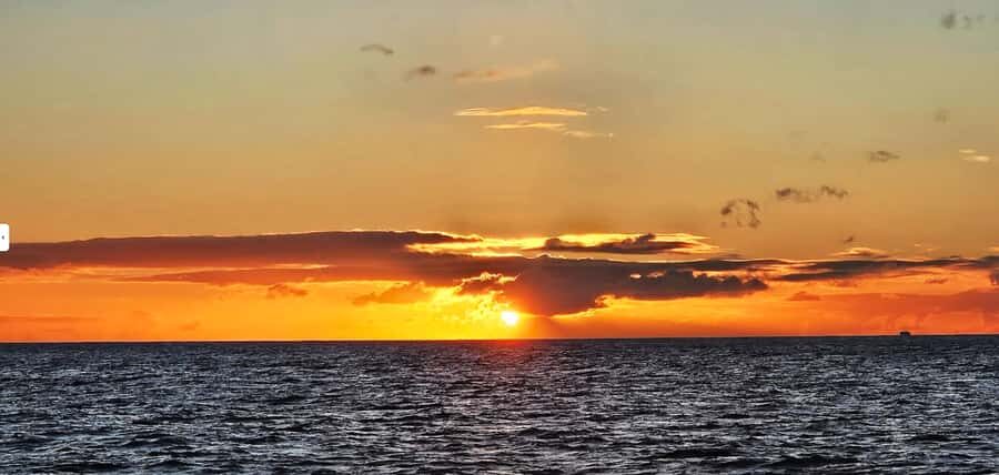 Waikiki Beach Sunset Sail and Swim on a Sailing Catamaran - What Makes This Tour Stand Out?