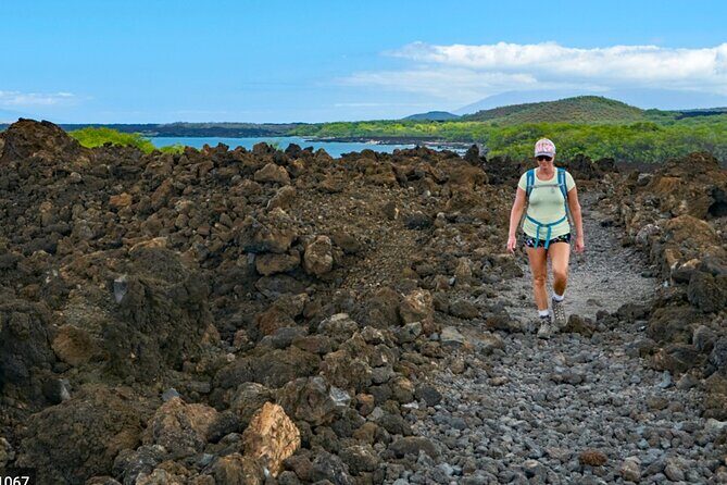 Wailea Wildlife Tour with Snorkeling - A Closer Look at the Itinerary