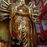 Wakayama: Around Wakaura Area Walking Tour with Local Guide - Who Will Love This Tour?