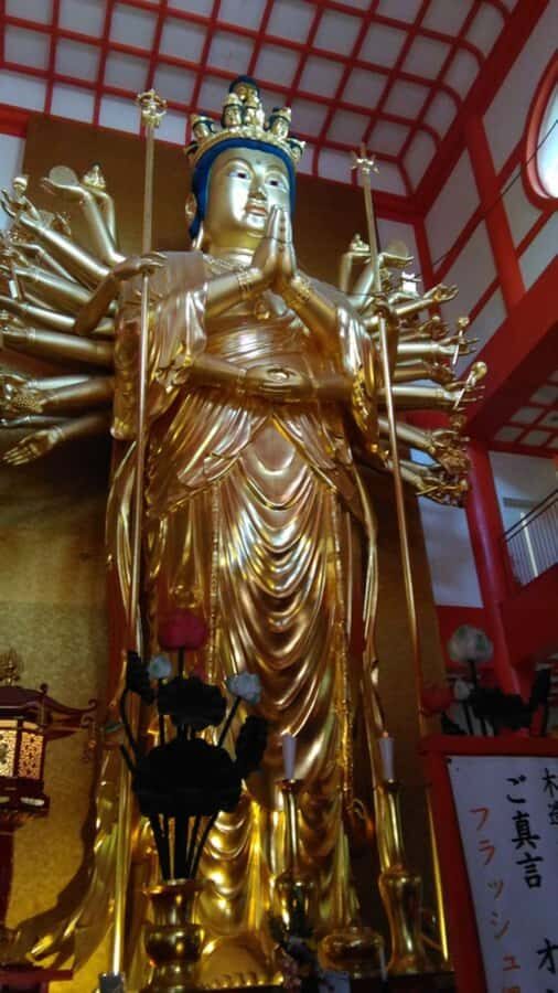 Wakayama: Around Wakaura Area Walking Tour with Local Guide - Who Will Love This Tour?