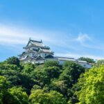 Wakayama Castle Walk A Short Guided Experience - Who Should Consider This Tour?
