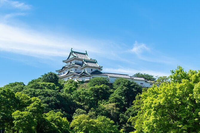 Wakayama Castle Walk A Short Guided Experience - Who Should Consider This Tour?