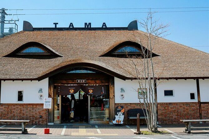 Wakayama Cute Cat and Outlet Shopping Day Tour - The Experience and What It Really Means for You