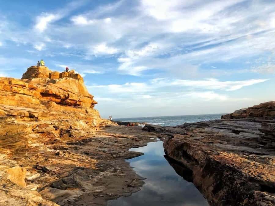 Wakayama: Day Trip to Shirahama Beach & Kuroshio Market - Visiting Sightseeing Farms and the Coastal Highlights