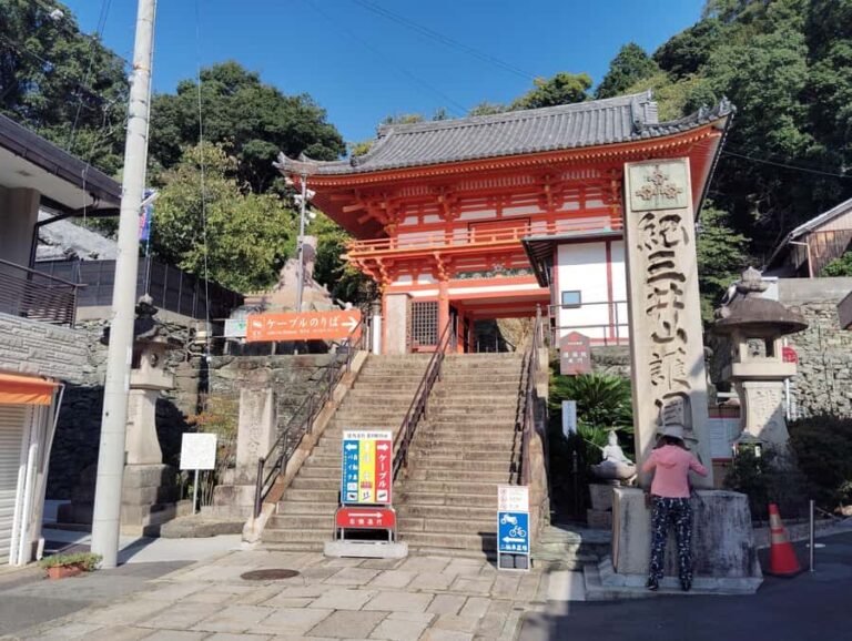 Wakayama: Discover the Sacred Beauty of Kimiidera - Who Will Love This Tour?