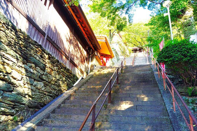 Wakayama: Discover the Sacred Beauty of Kimiidera - Who Would Enjoy This Tour?