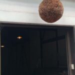 Wakayama: Kainan Plum Liqueur Factory and Historical Spots - The Itinerary in Detail