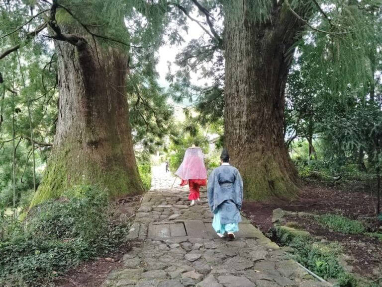Wakayama: Kumano Kodo Sacred Walk to Nachi in Heian Attire - Key Points