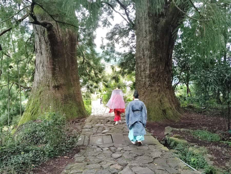 Wakayama: Kumano Kodo Sacred Walk to Nachi in Heian Attire - Key Points