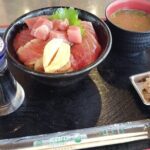 Wakayama: Learn & Taste Japan Tuna Culture in Nachikatsuura - Who Will Love This Tour?