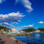 Wakayama: Learn & Taste Japan Tuna Culture in Nachikatsuura - Practical Details and What to Expect