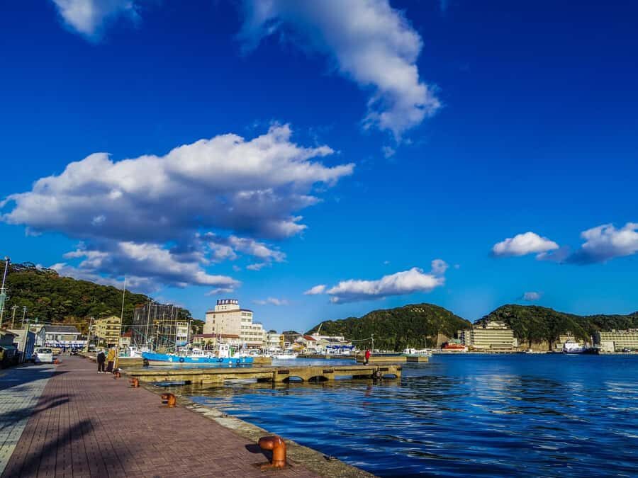 Wakayama: Learn & Taste Japan Tuna Culture in Nachikatsuura - Practical Details and What to Expect