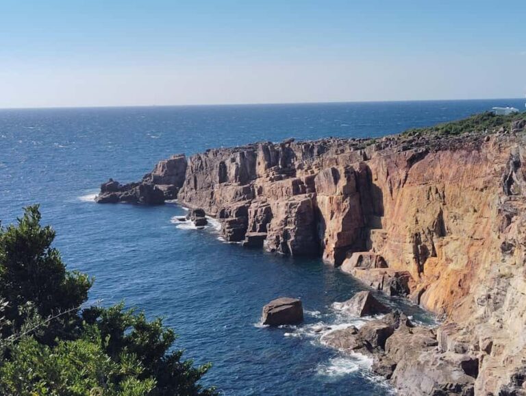 Wakayama: Sandanbeki and Senjojiki Scenic Coast Tour - Why This Tour Works