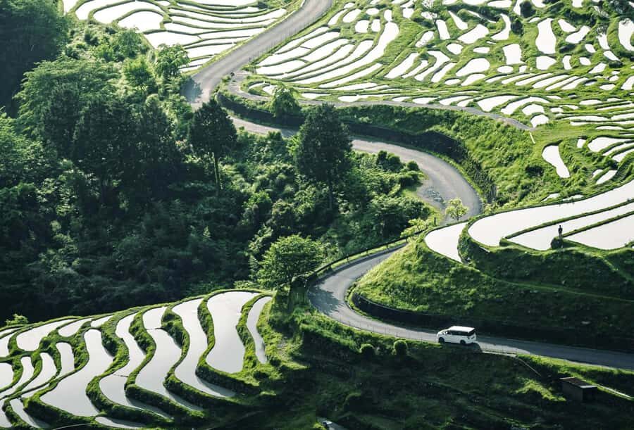 Wakayama: Shirahama & Kumano Kodo 2-Day Small-Group Tour - Walking the Sacred Kumano Kodo Trail