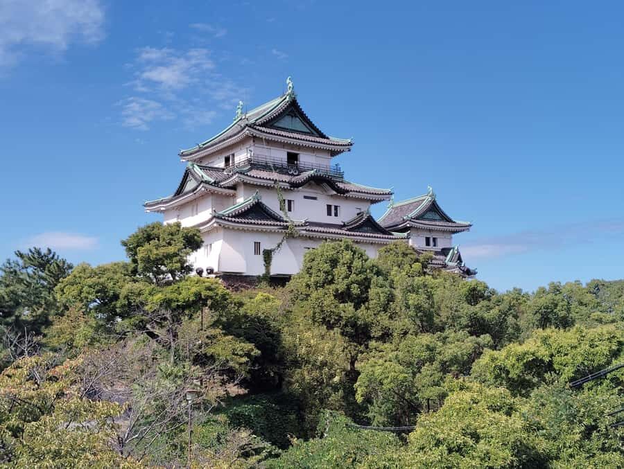 Wakayama: Tokugawa Castle That Guarded the Southern Coast - Who Will Love This Tour?
