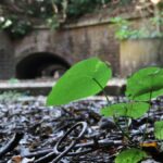 Wakayama: Tomogashima Island Hiking Tour - An Authentic Journey into History and Nature