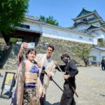 Wakayama WA Style Town Walk - Who Is This Tour Best For?