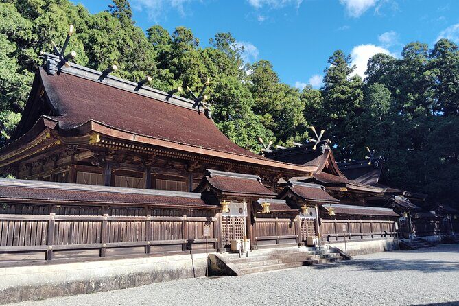 Wakayama: Walk the Kumano Kodo to Kumano Hongu Taisha - Pricing and Value