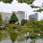 Walk of Ryogoku, the Sumo Town - The Itinerary in Detail