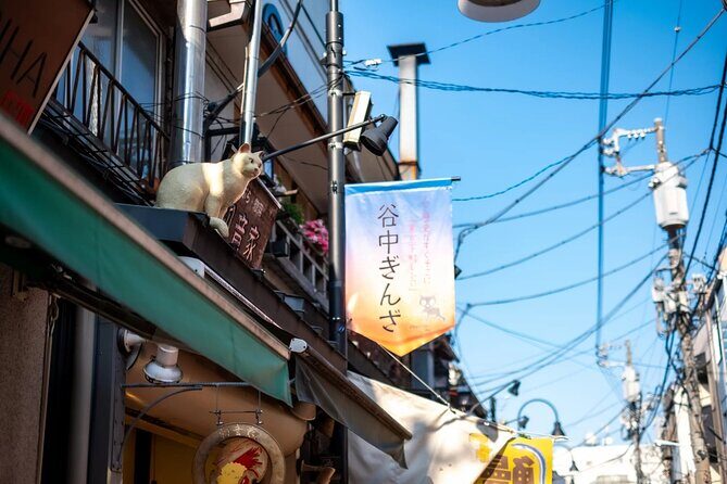 Walking Tour in Yanaka Nezu and Sendagi: Tea Ceremony & Old Tokyo - Authenticity and Traveler Feedback